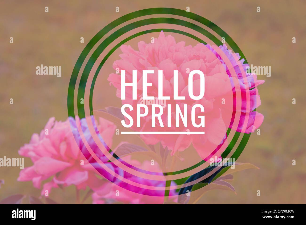 Postcard Hello Spring. Welcome card banner. Spring mood Stock Photo - Alamy