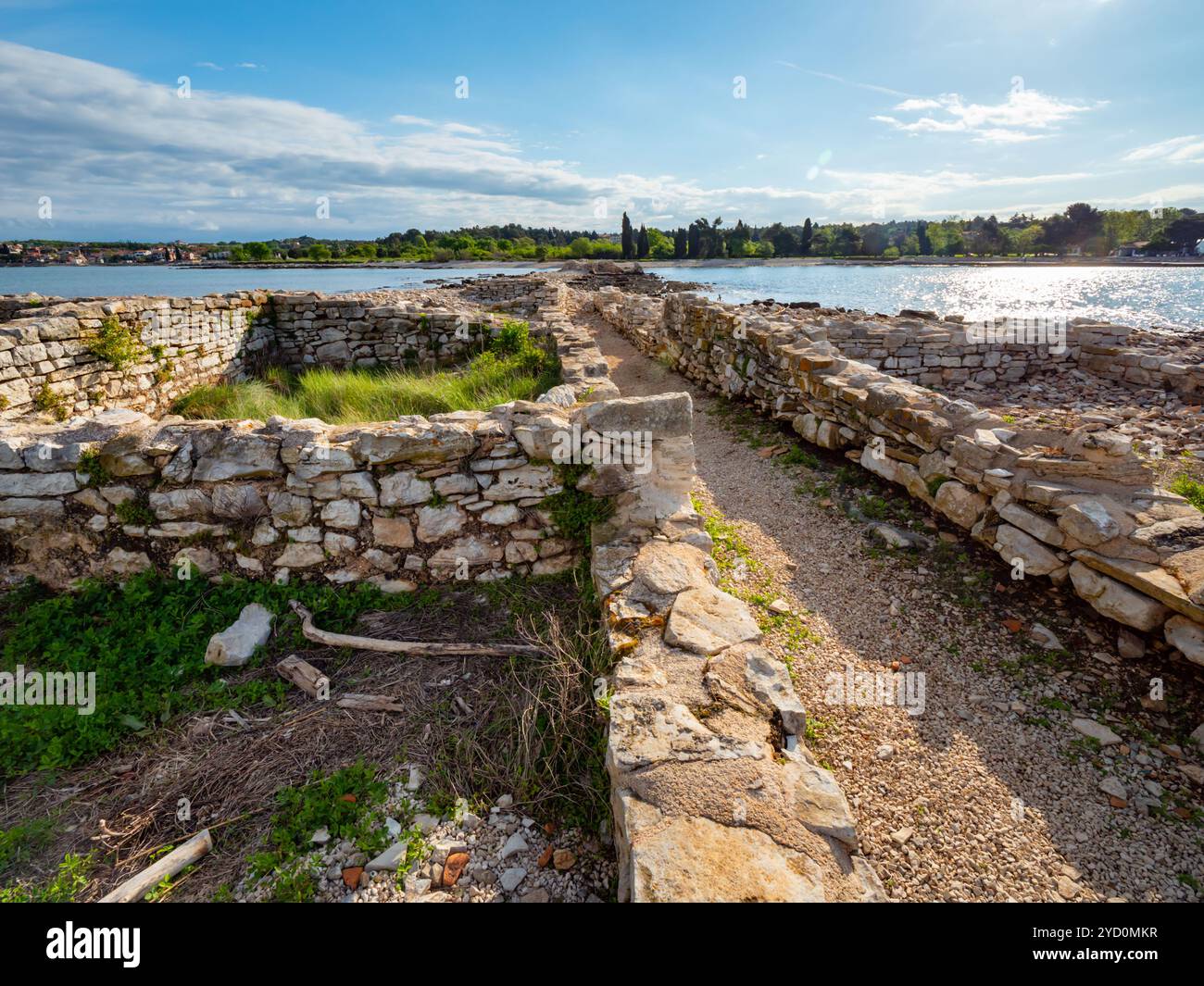 Sipar peninsula near Umag in Croatia Stock Photo - Alamy