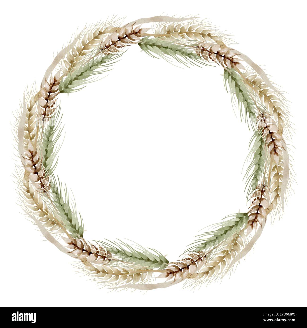 Wheat wreath Watercolor round frame. Hand drawn border from rye, oats ...