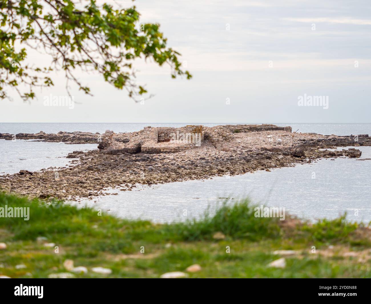 Sipar peninsula near Umag in Croatia Stock Photo - Alamy