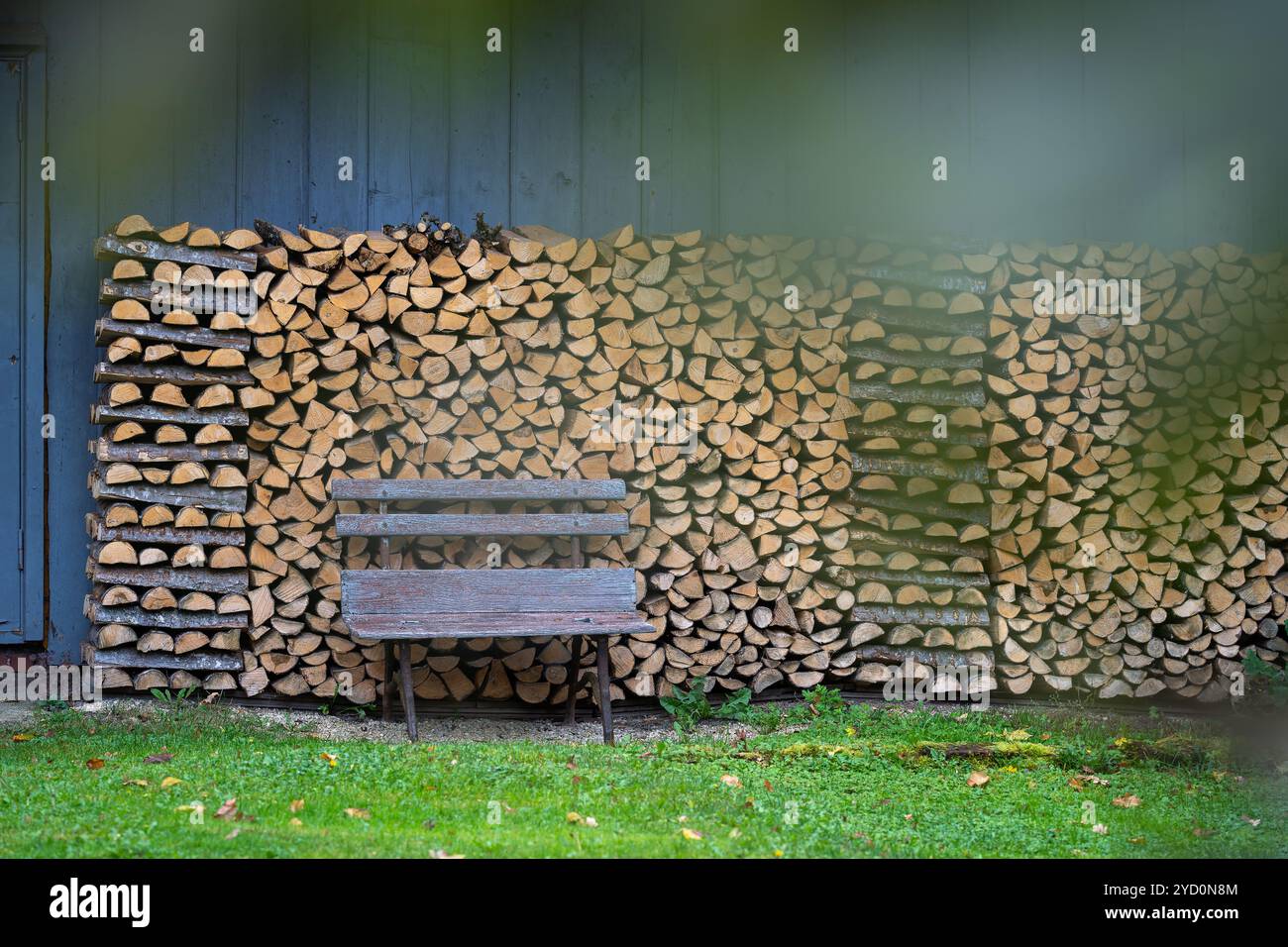 Firewood background. Different types of wood textures background ...