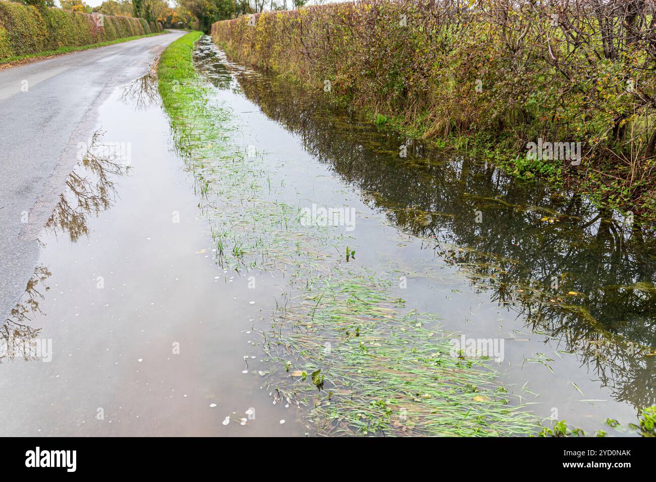 A drainage ditch overflowing after heavy rain in a lane near the ...