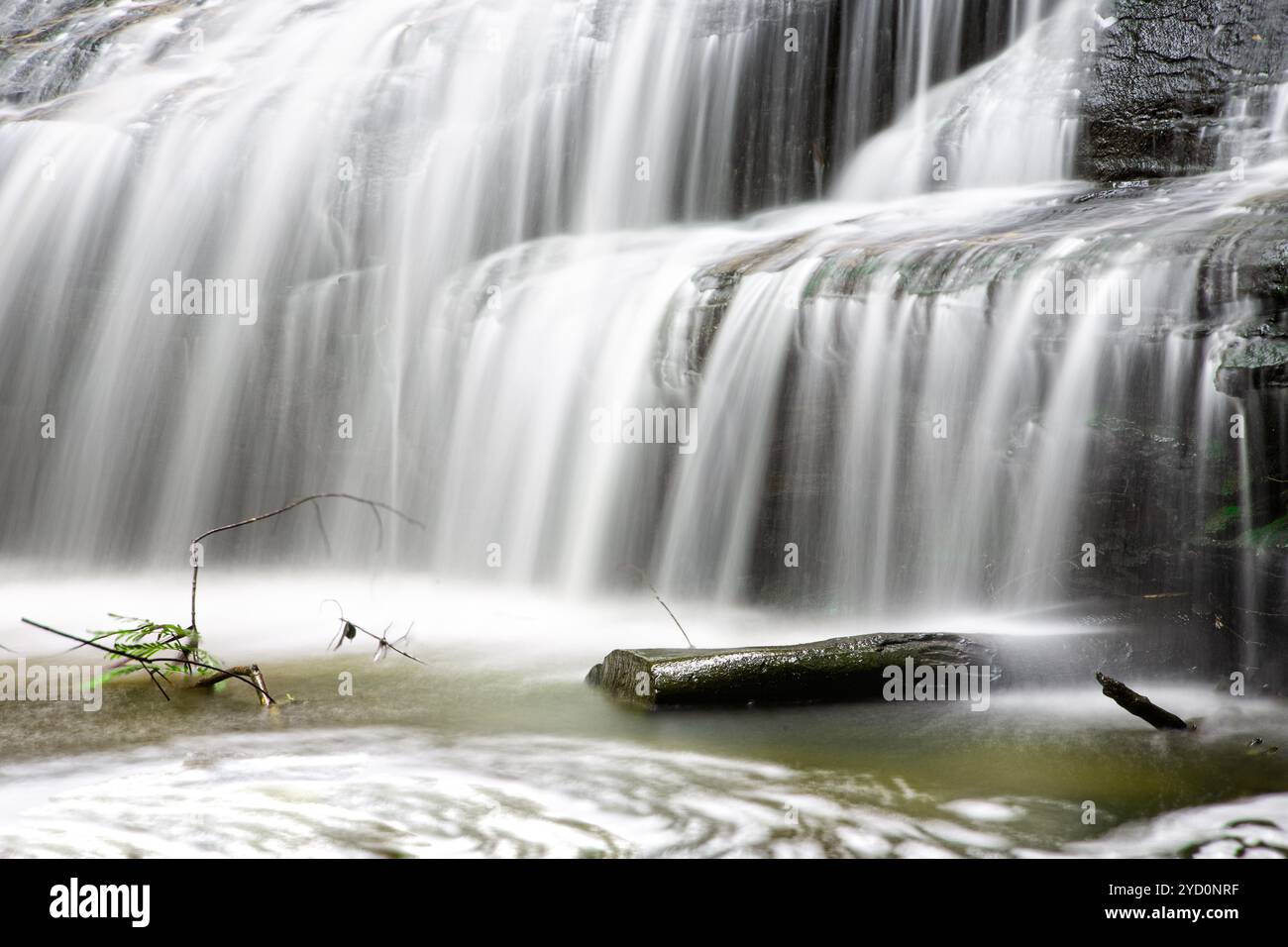 Full flowing waterfall and mossy log Stock Photo - Alamy