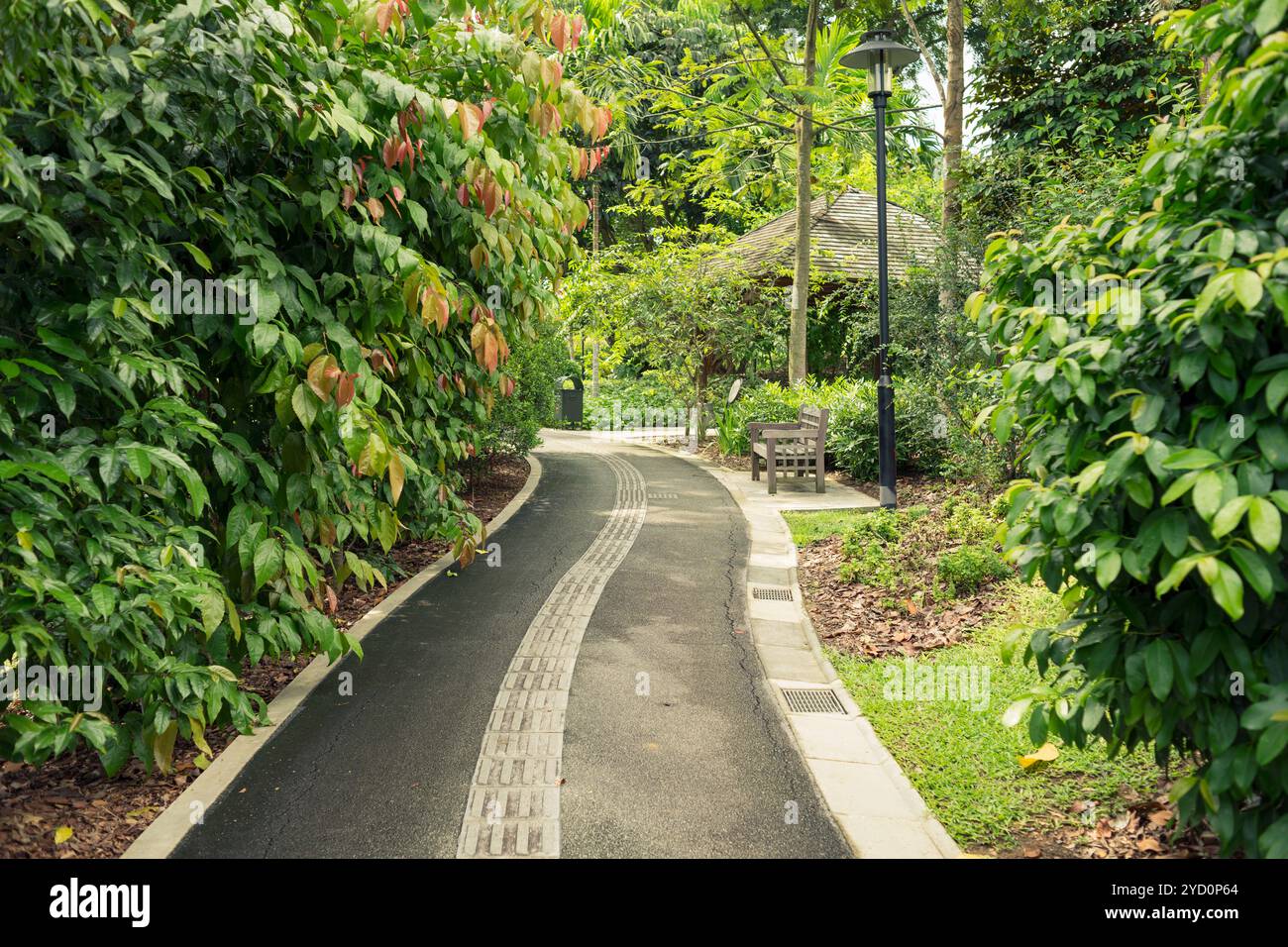 Pathway landscape hi-res stock photography and images - Alamy