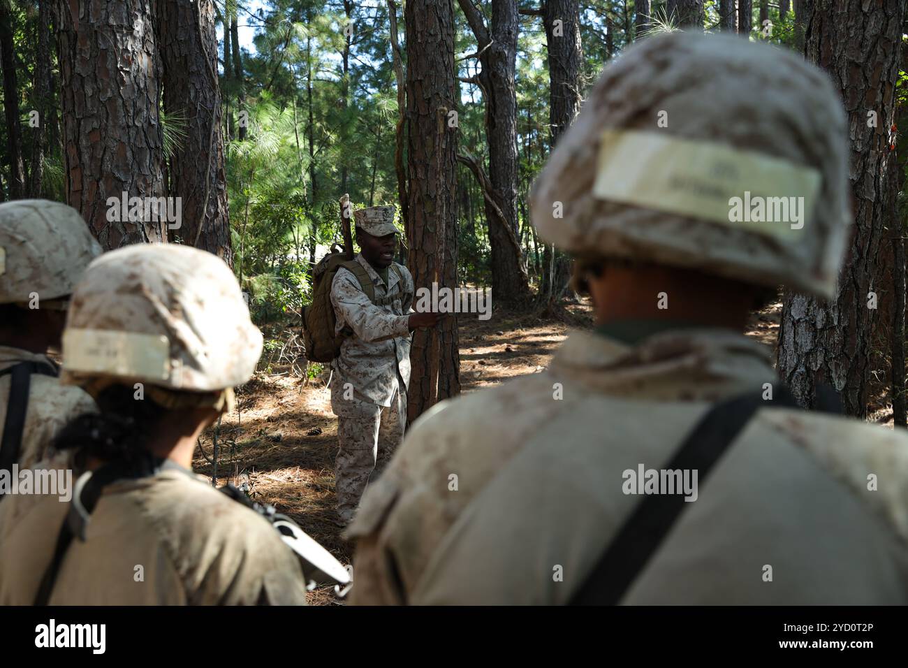 Recruits with Hotel Company, 2nd Recruit Training Battalion, conduct ...