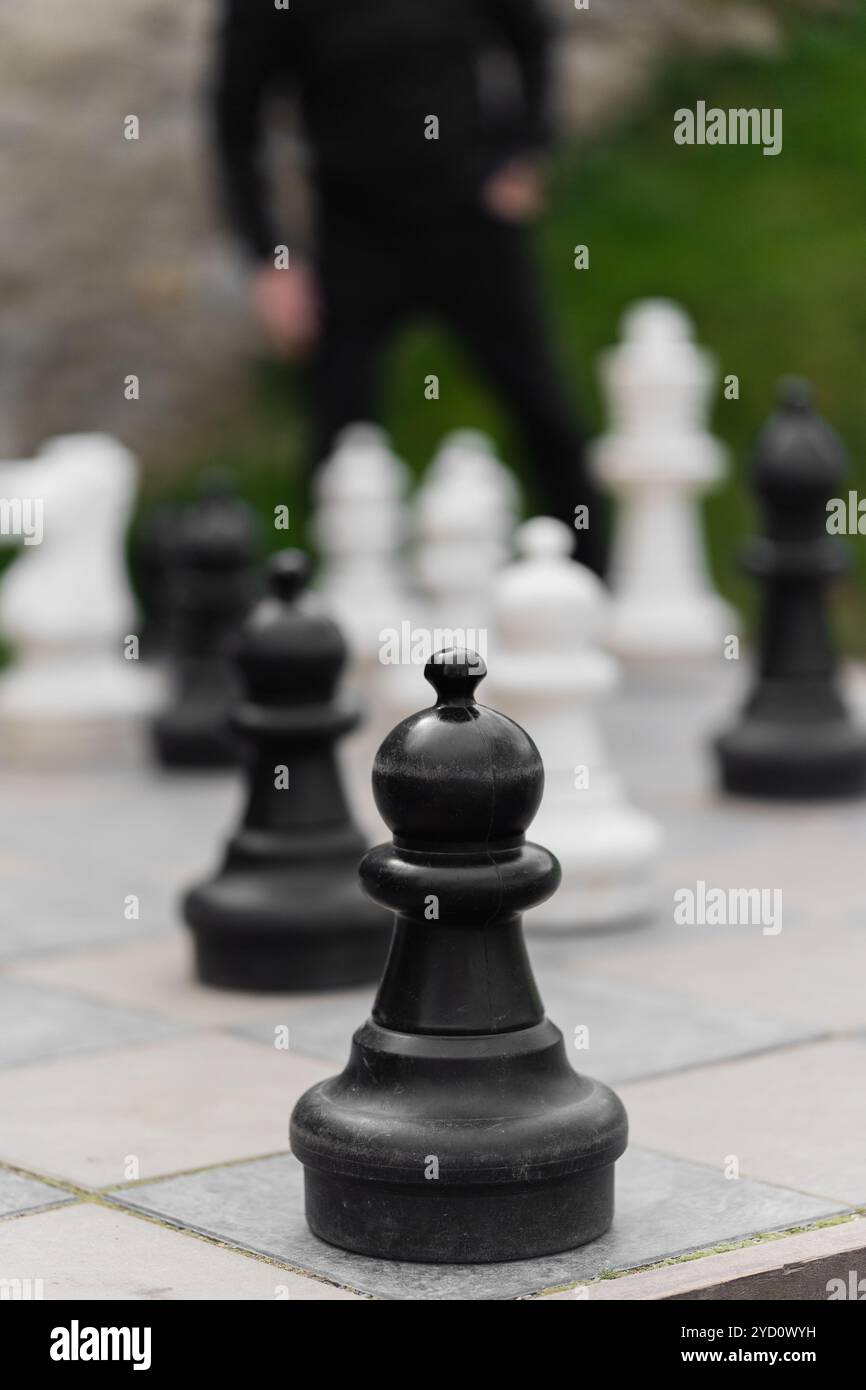 Big chess pieces pawn on the board. Green background behind Stock Photo ...