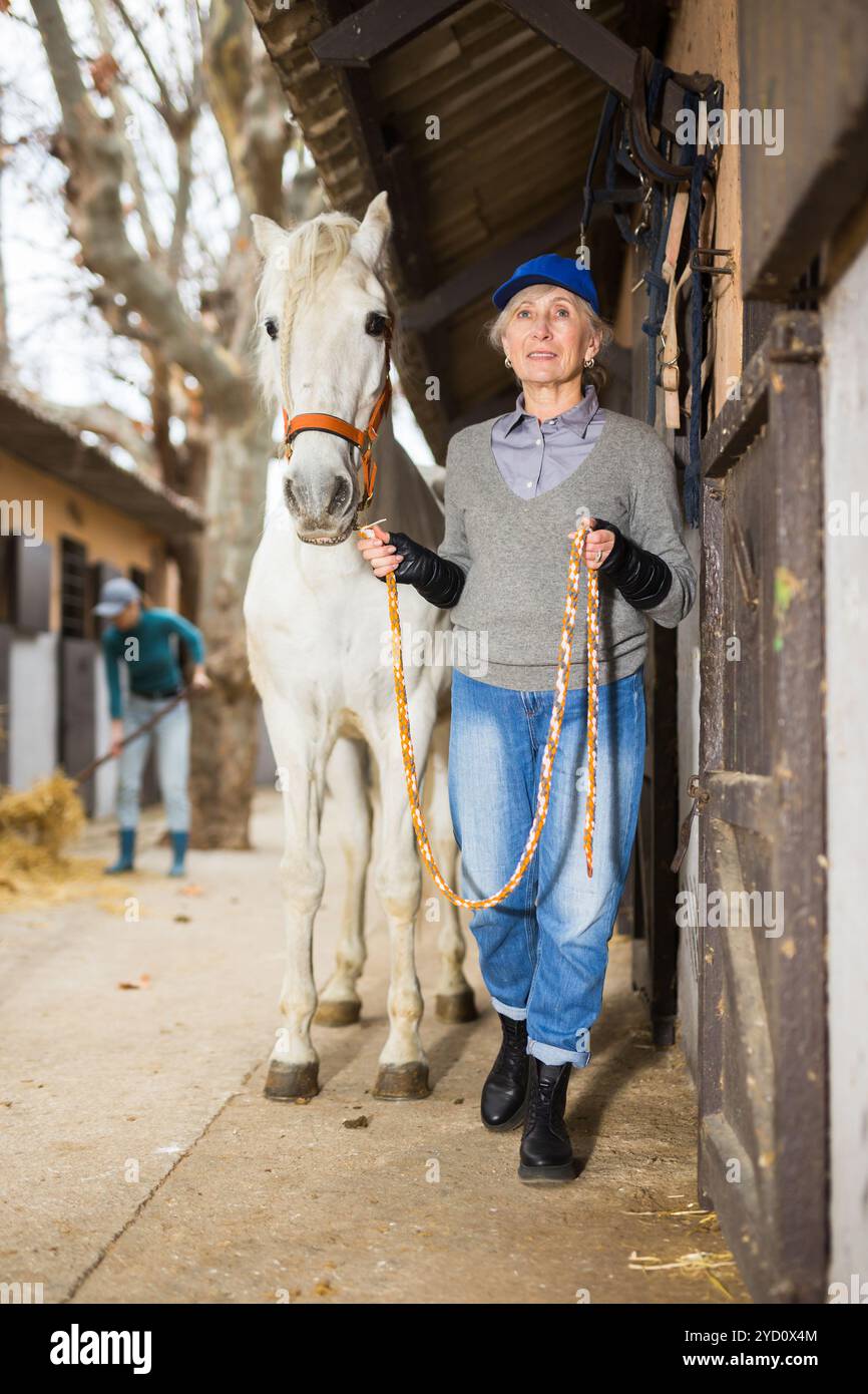Backyard of the stables on typical autumn day - horse walking and ...