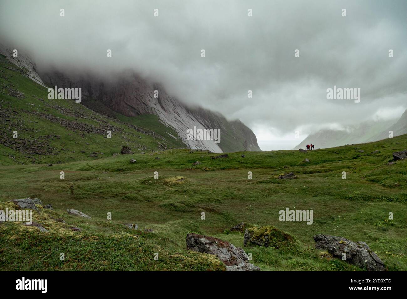 Explore the enchanting Bunes Beach in Lofoten, where hiking amidst lush ...