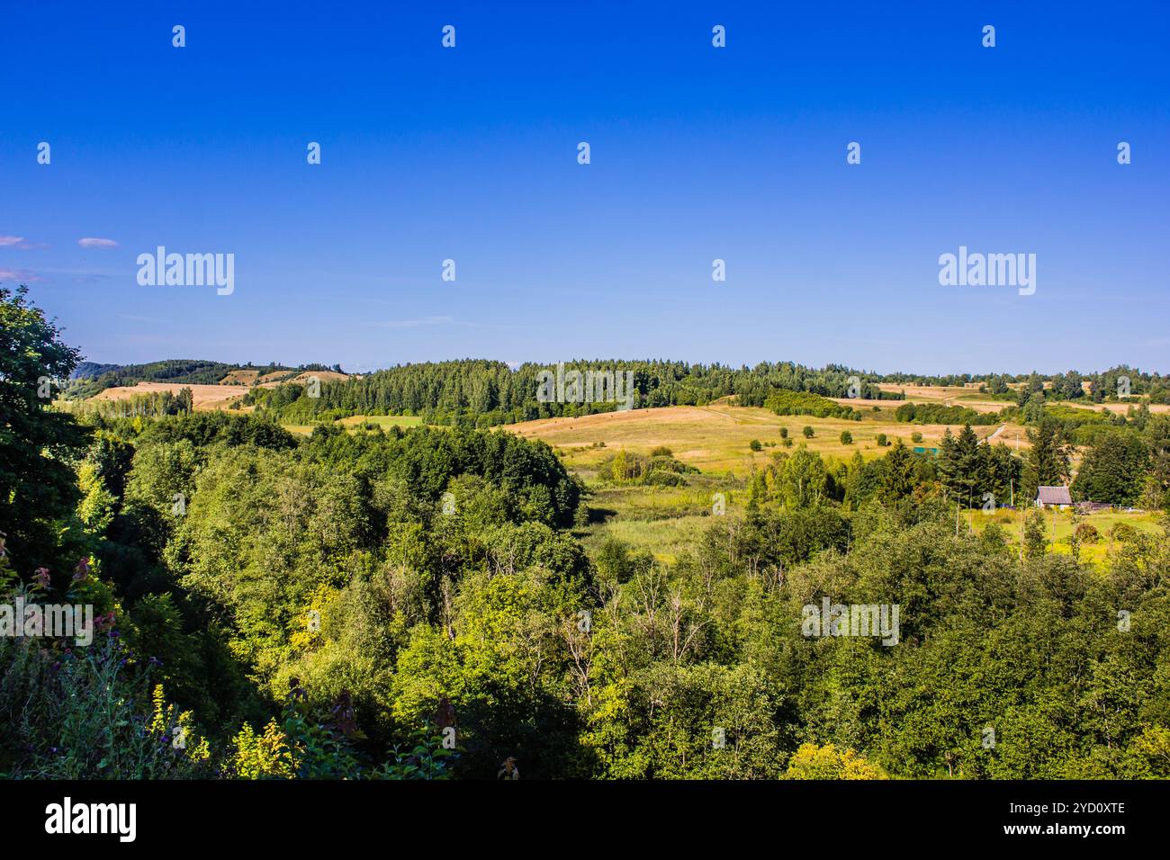 Russian landscape in the field. The expanses of Russia. Summer ...