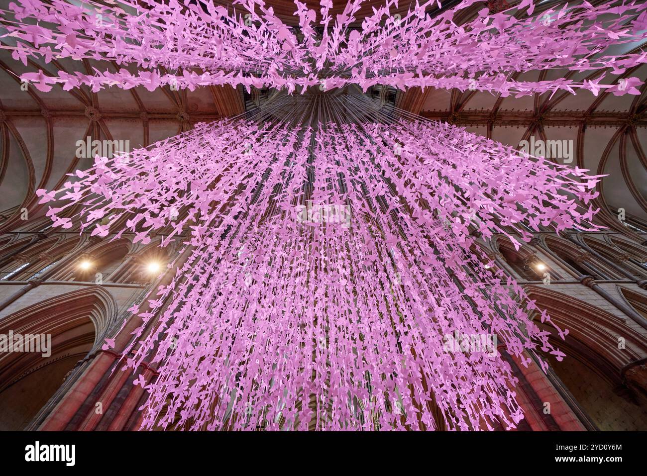 ©Phil Crow 2024 www.philcrow.comPeace Doves is a mass-participation ...