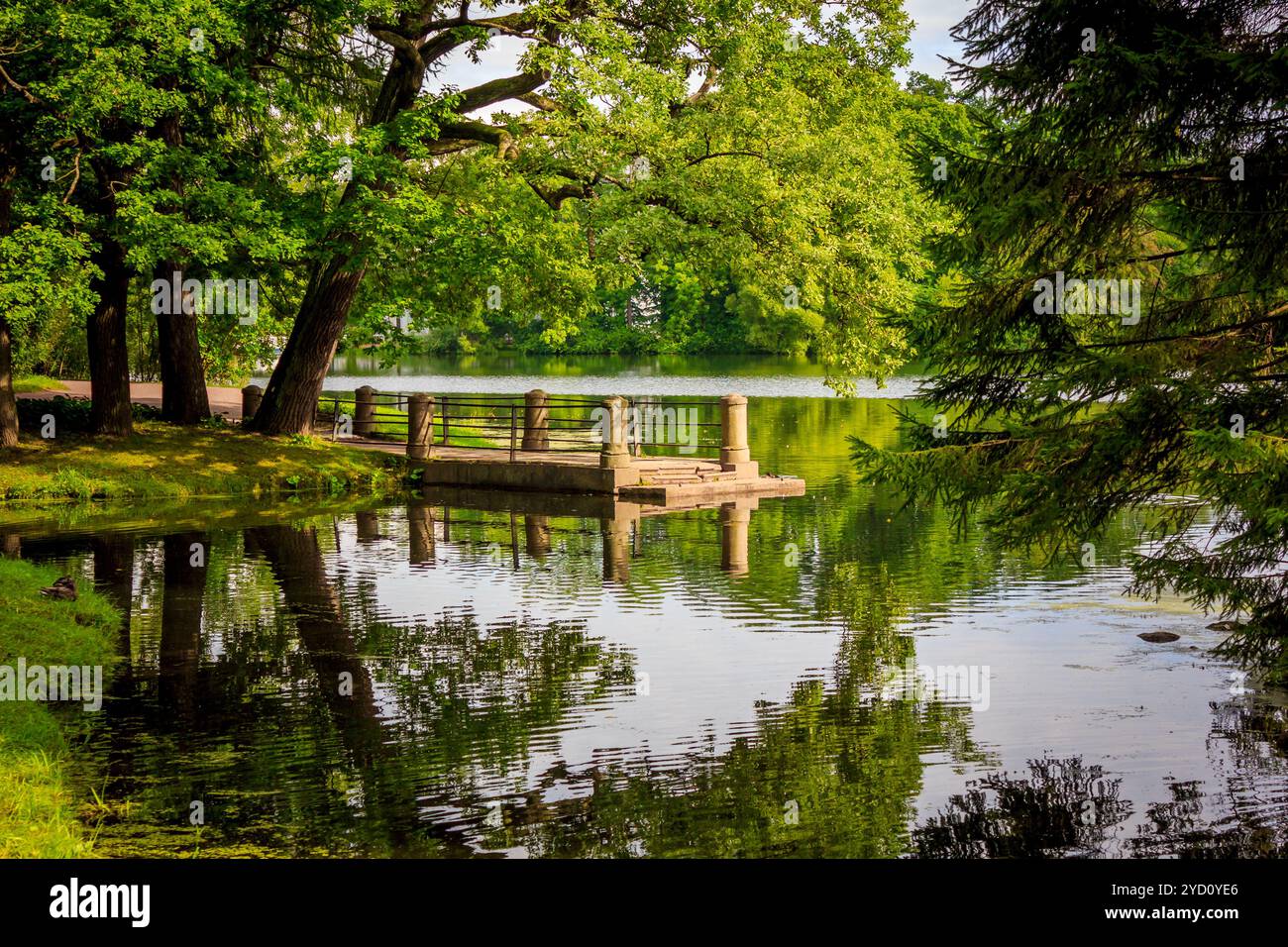 Summer green park. Grass, foliage, trees. Bright park. Summer Park ...