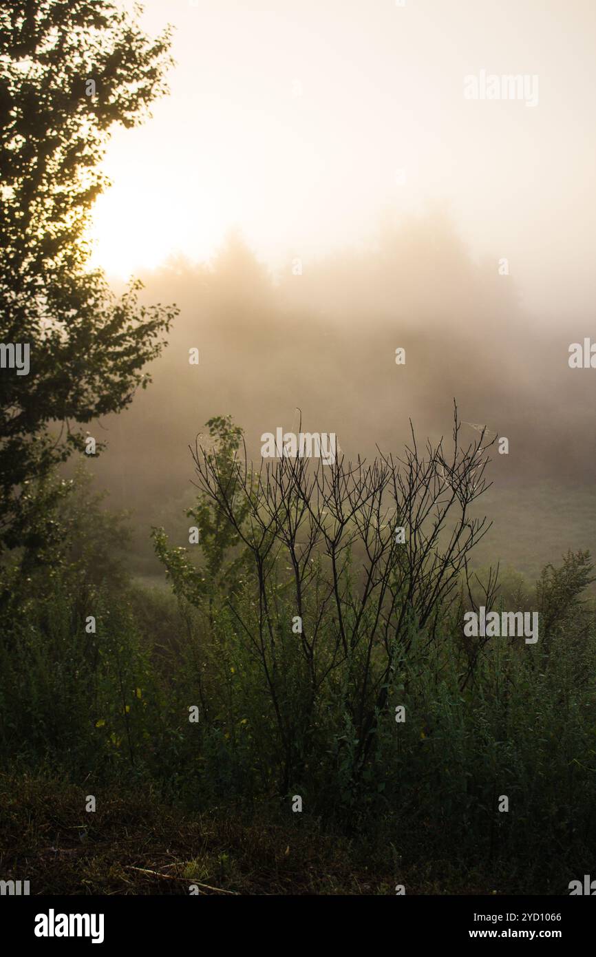 Mist over the river. Morning fog. Evaporation from water. Summer fog ...