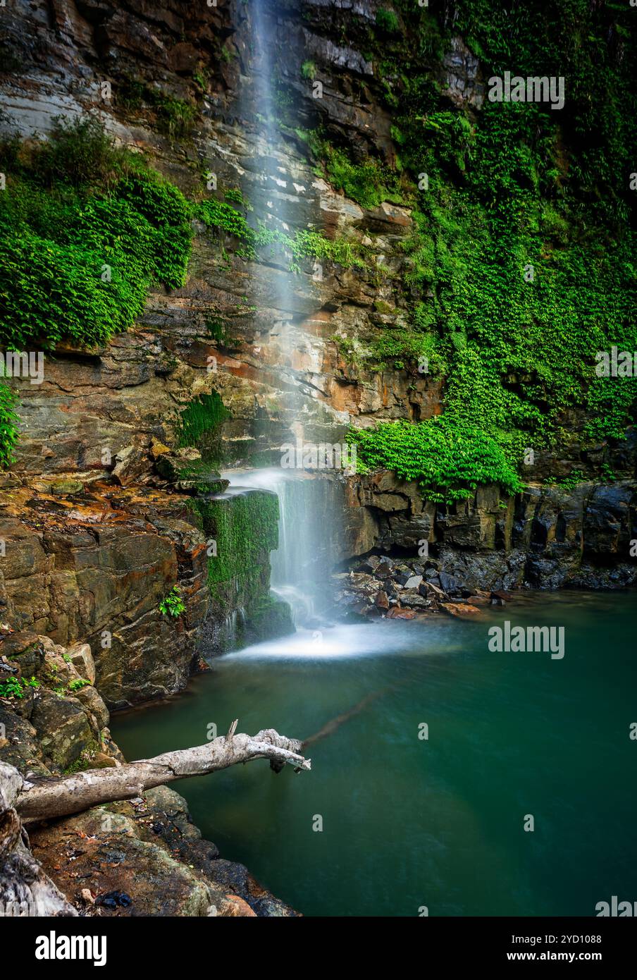 Oasis swimming pools hi-res stock photography and images - Alamy