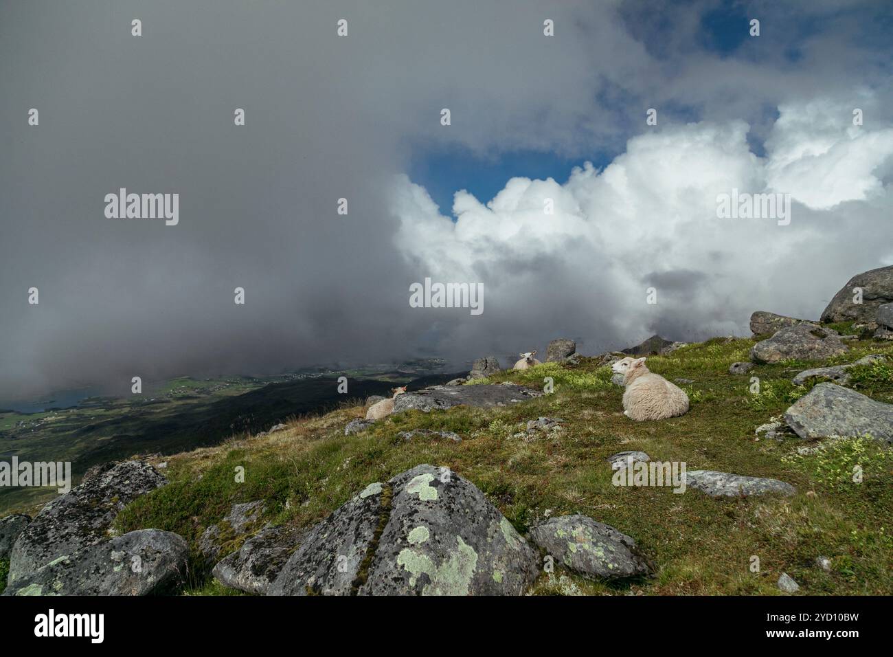 A breathtaking highland landscape features dense fog and cumulus clouds ...