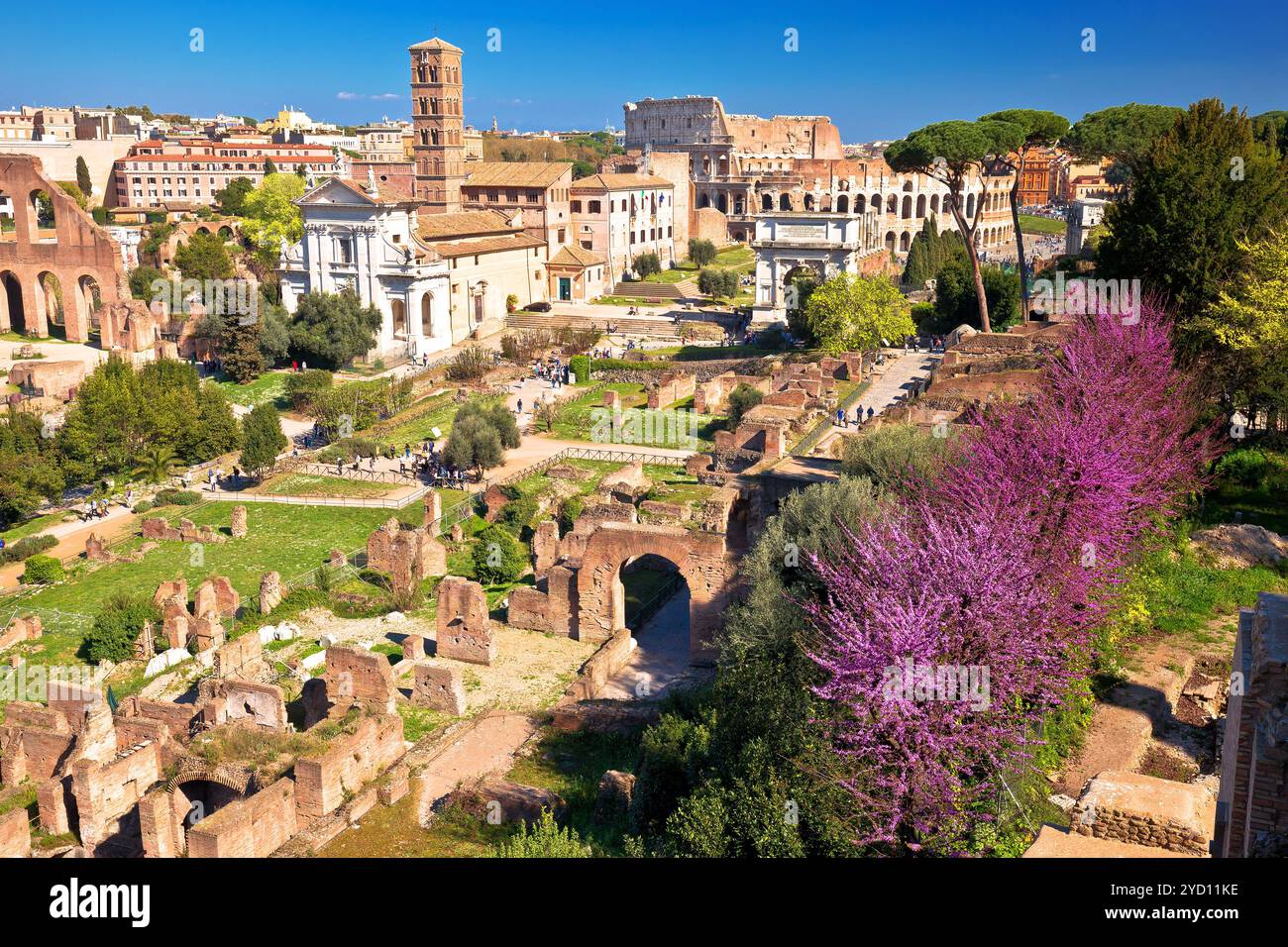 Scenic springtime view over the ruins of the Roman Forum in Rome Stock ...