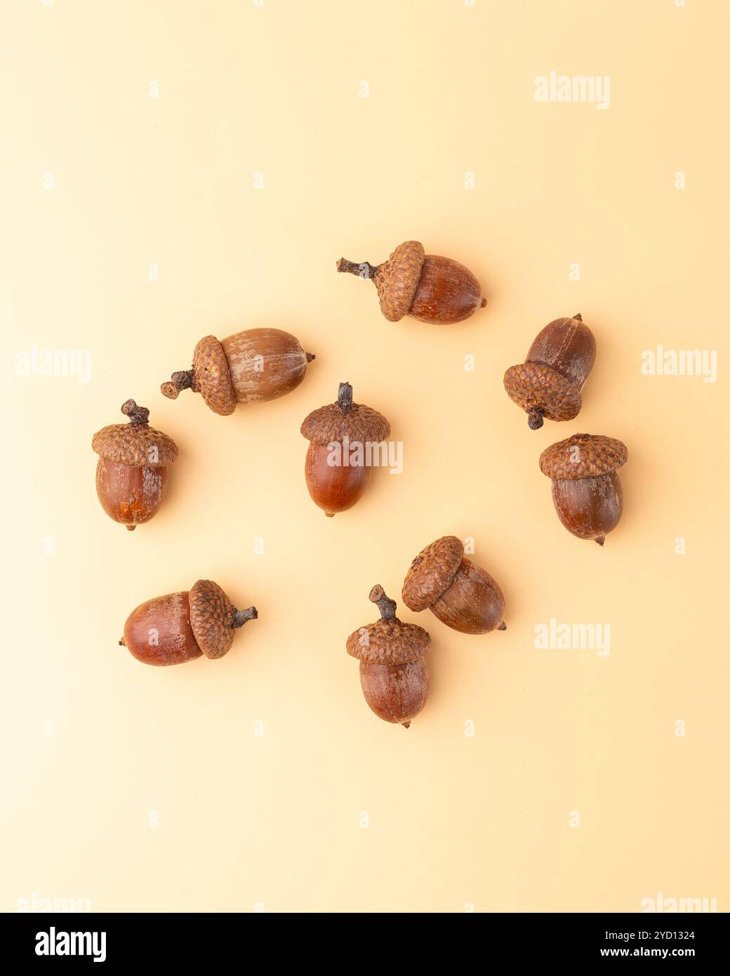 brown acorns with caps arranged on a light peach background. for autumn ...