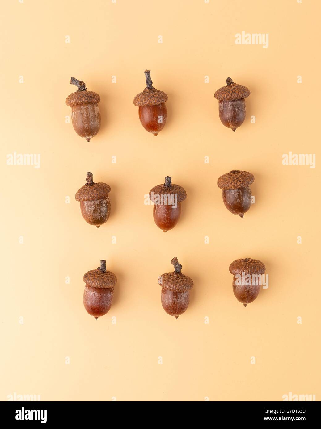 nine acorns are arranged in a 3x3 grid on a peach background. top view ...