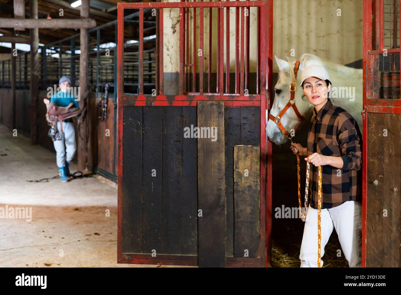 Asian female rancher leading white horse out of stall in stable Stock ...