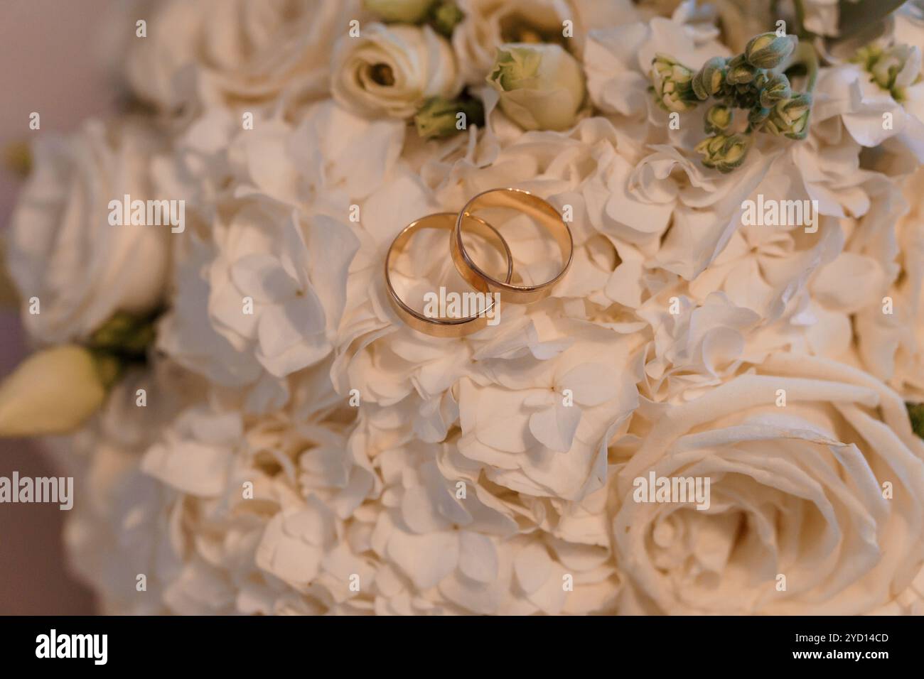 Elegant floral symbols hi-res stock photography and images - Alamy