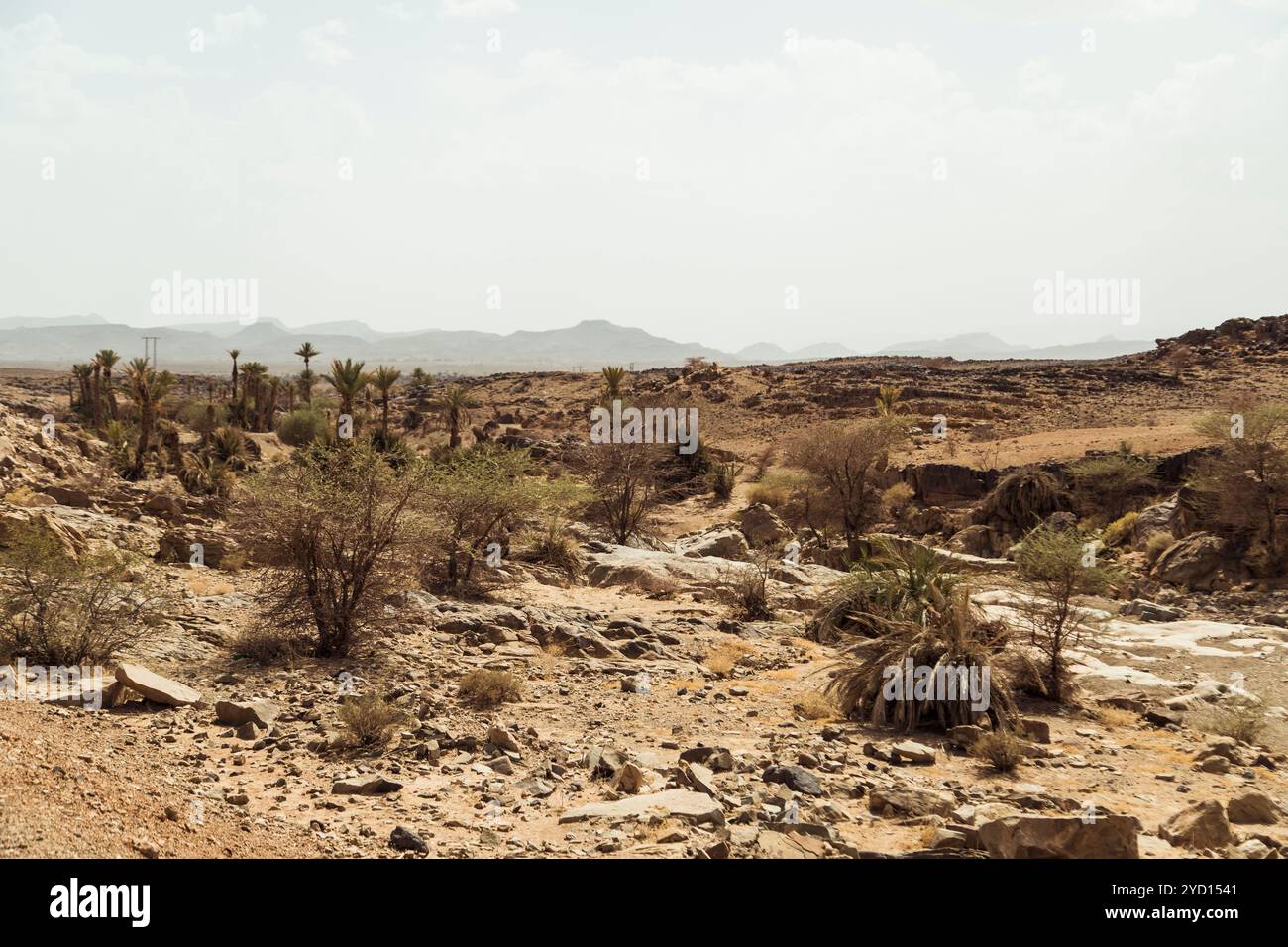 A striking view of Morocco's arid landscape showcases unique aeolian ...