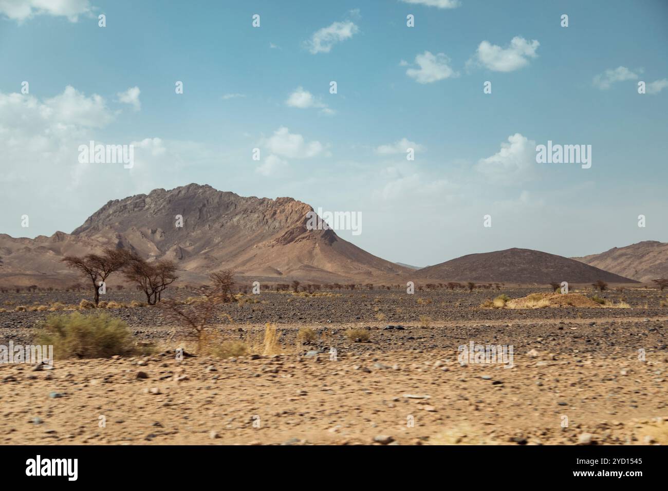 Sparse trees dot hi-res stock photography and images - Alamy