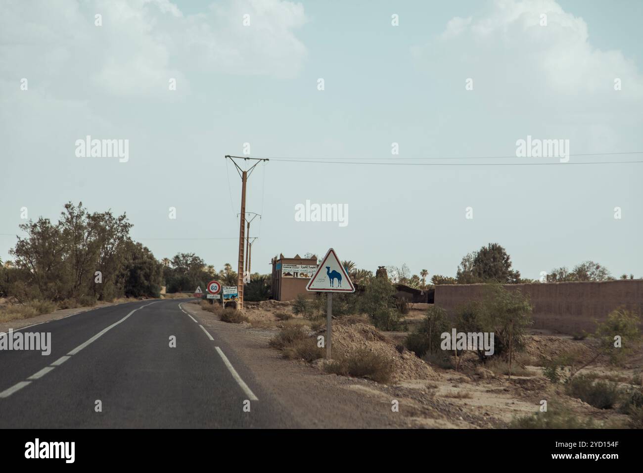 A scenic Moroccan highway bordered by desert vegetation features a ...