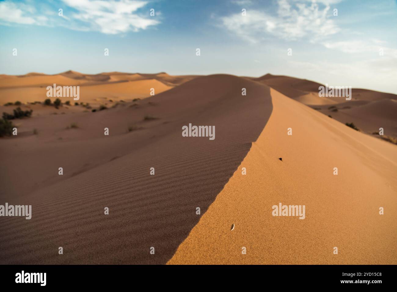 The Sahara Desert in Morocco showcases expansive, sunlit sand dunes ...