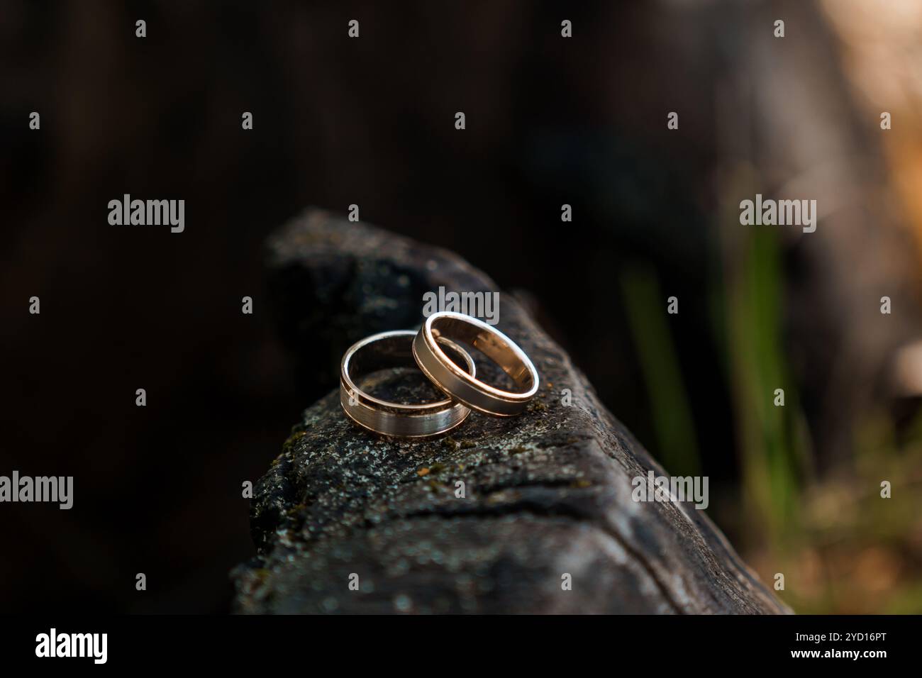 Elegant Wedding Rings Resting on Textured Stone Surface Stock Photo - Alamy
