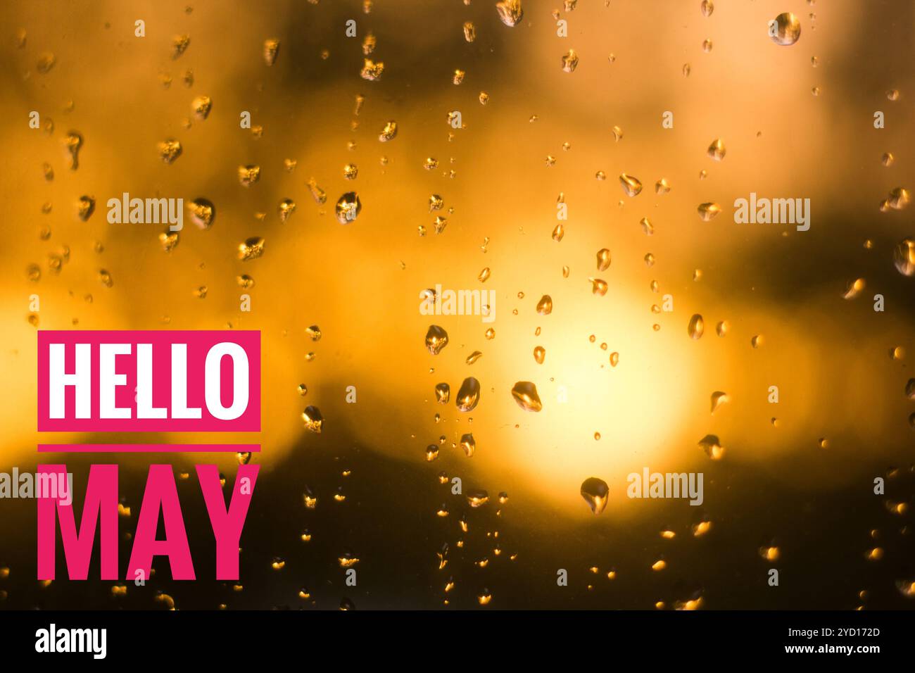 Banner Hello May. Greeting the new month. Hi spring. The text in the ...