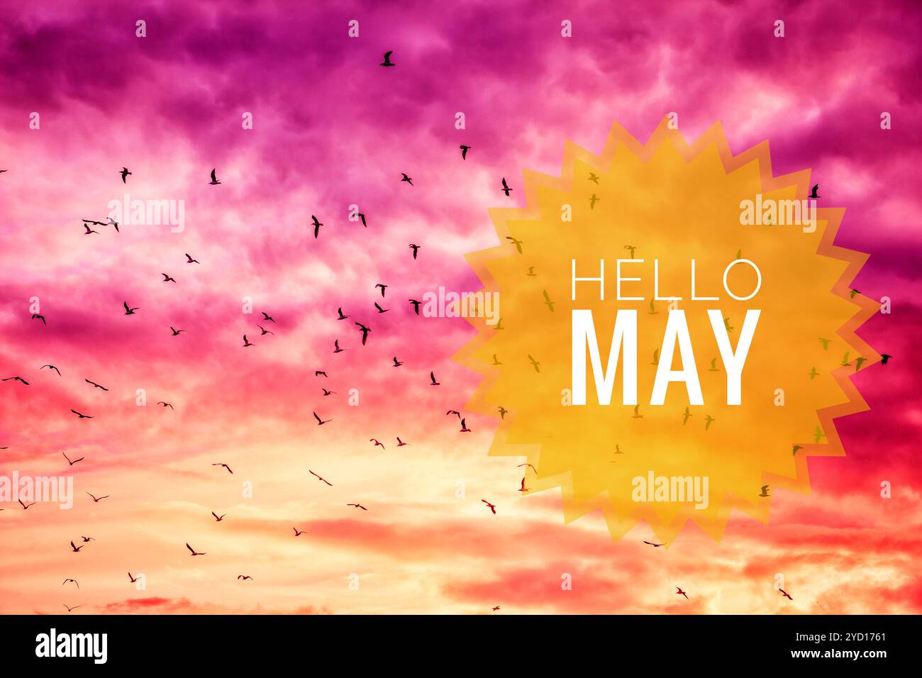 Banner hello may. hello may text on sky background. text against the ...