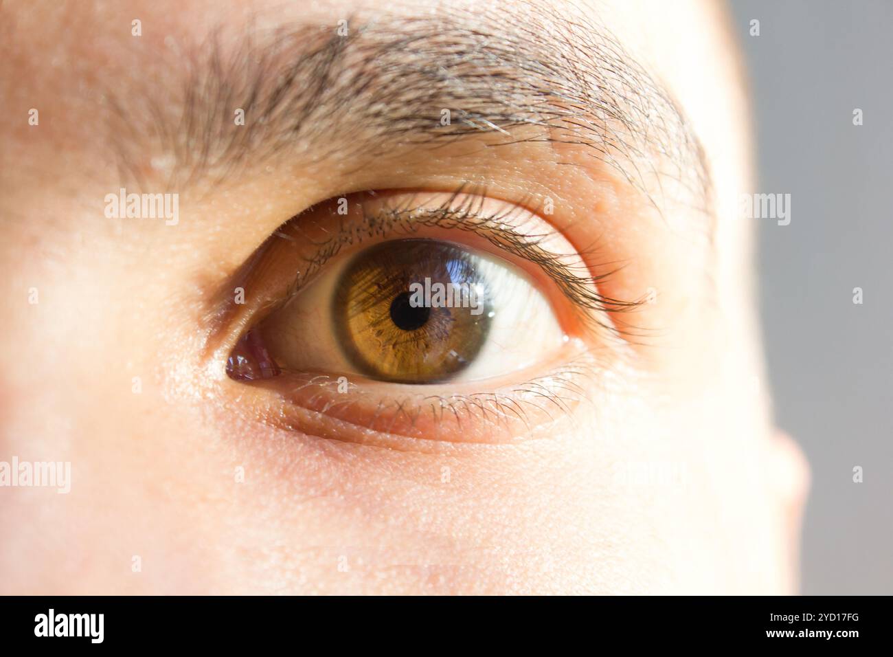 Brown eye of a man. parts of the face. vision. good vision Stock Photo ...