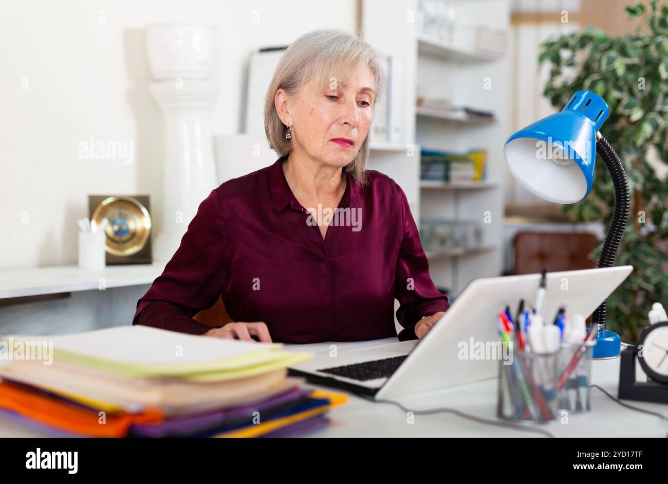 Concentrated elderly female office employee working with laptop Stock ...