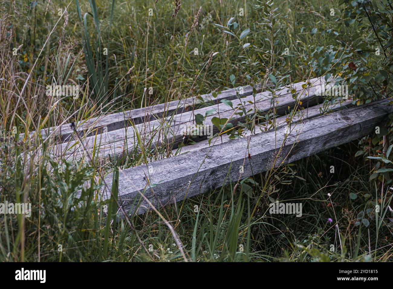 A small bridge over a ditch Stock Photo - Alamy