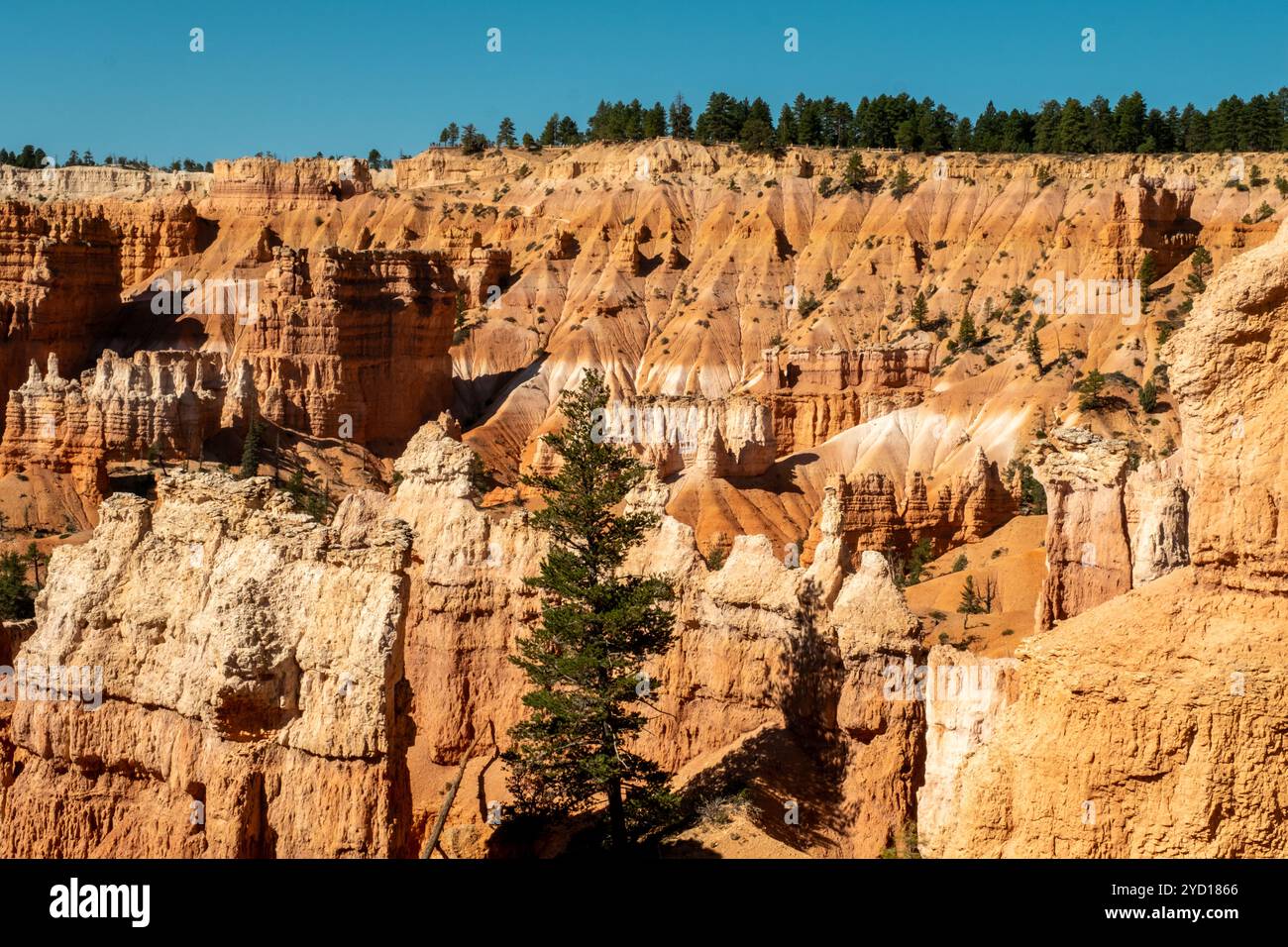 Hoodoos are tall, slender rock spires that stand like sentinels in ...