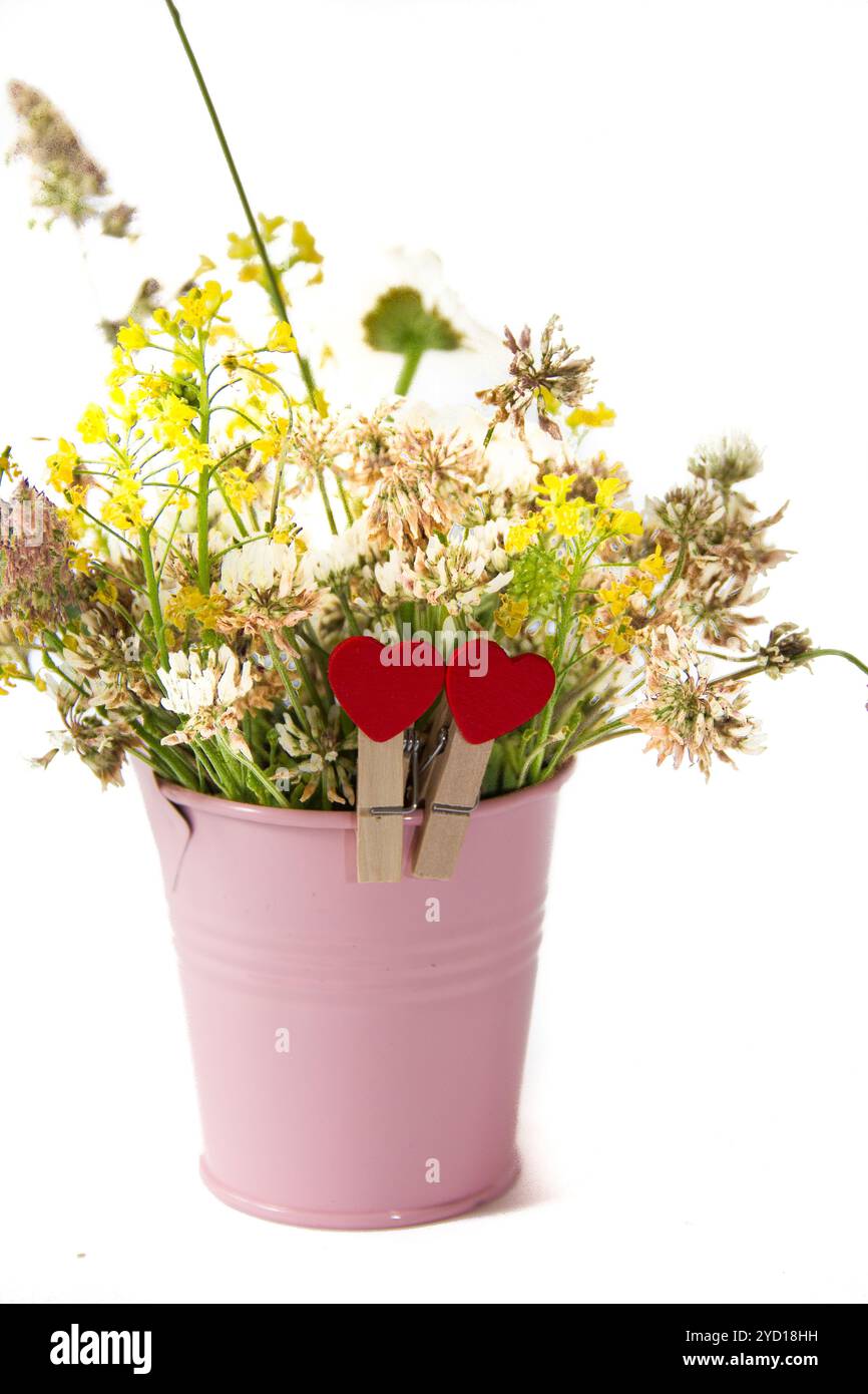 Bouquet of wild flowers isolated on white background. Wildflowers ...