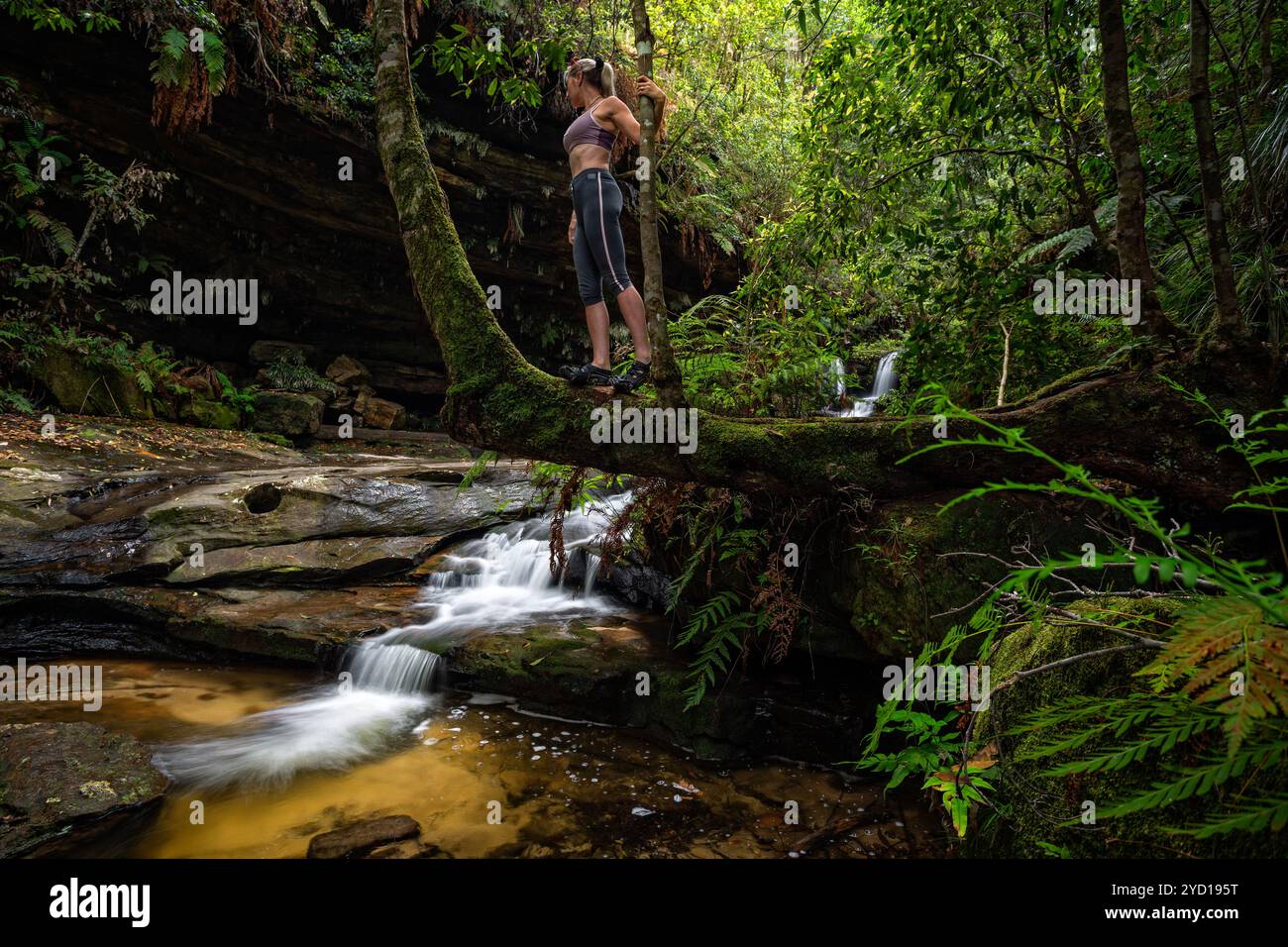 Exploring lush green gullys with flowing mountain streams Stock Photo ...