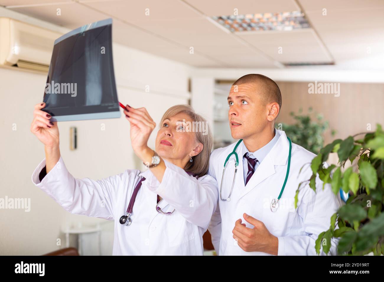 Two doctors examining x-ray of patient and discussing diagnosis Stock ...