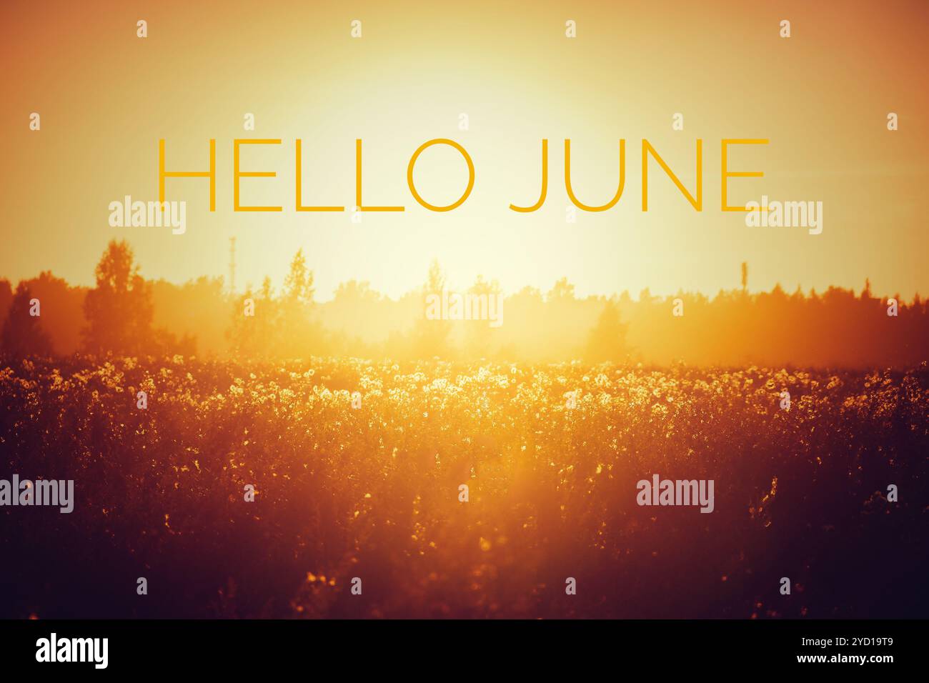 Banner hello june. Text on the photo. Text hello June. New month. New ...