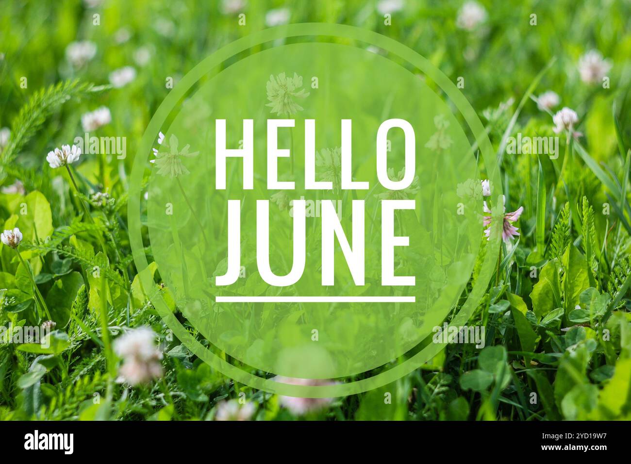 Banner hello june. Text on the photo. Text hello June. New month. New ...