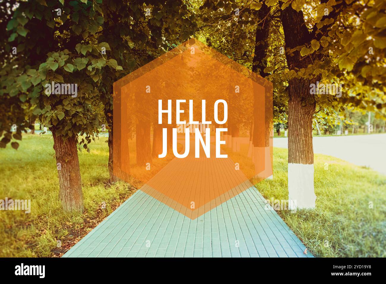 Banner hello june. Text on the photo. Text hello June. New month. New ...