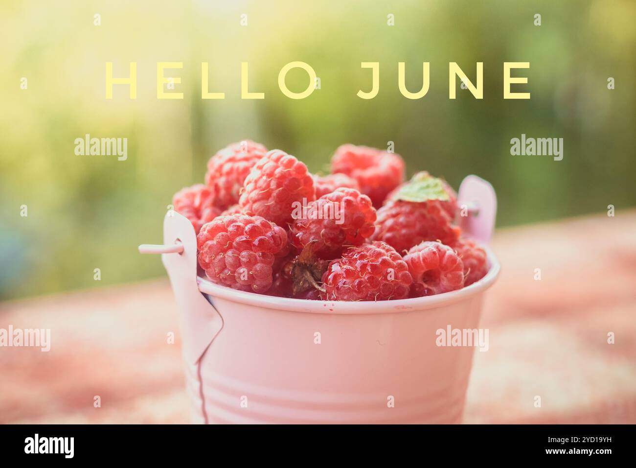 Banner hello june. Text on the photo. Text hello June. New month. New ...