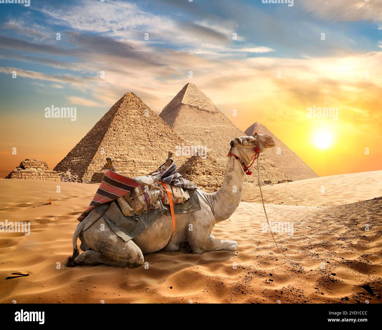 Heat feature hi-res stock photography and images - Alamy