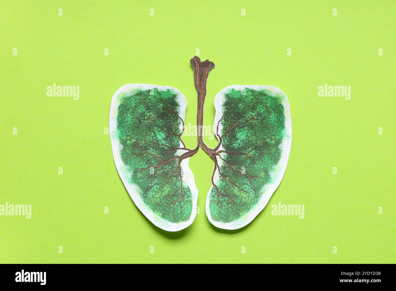 Drawn paper lungs on green background Stock Photo - Alamy