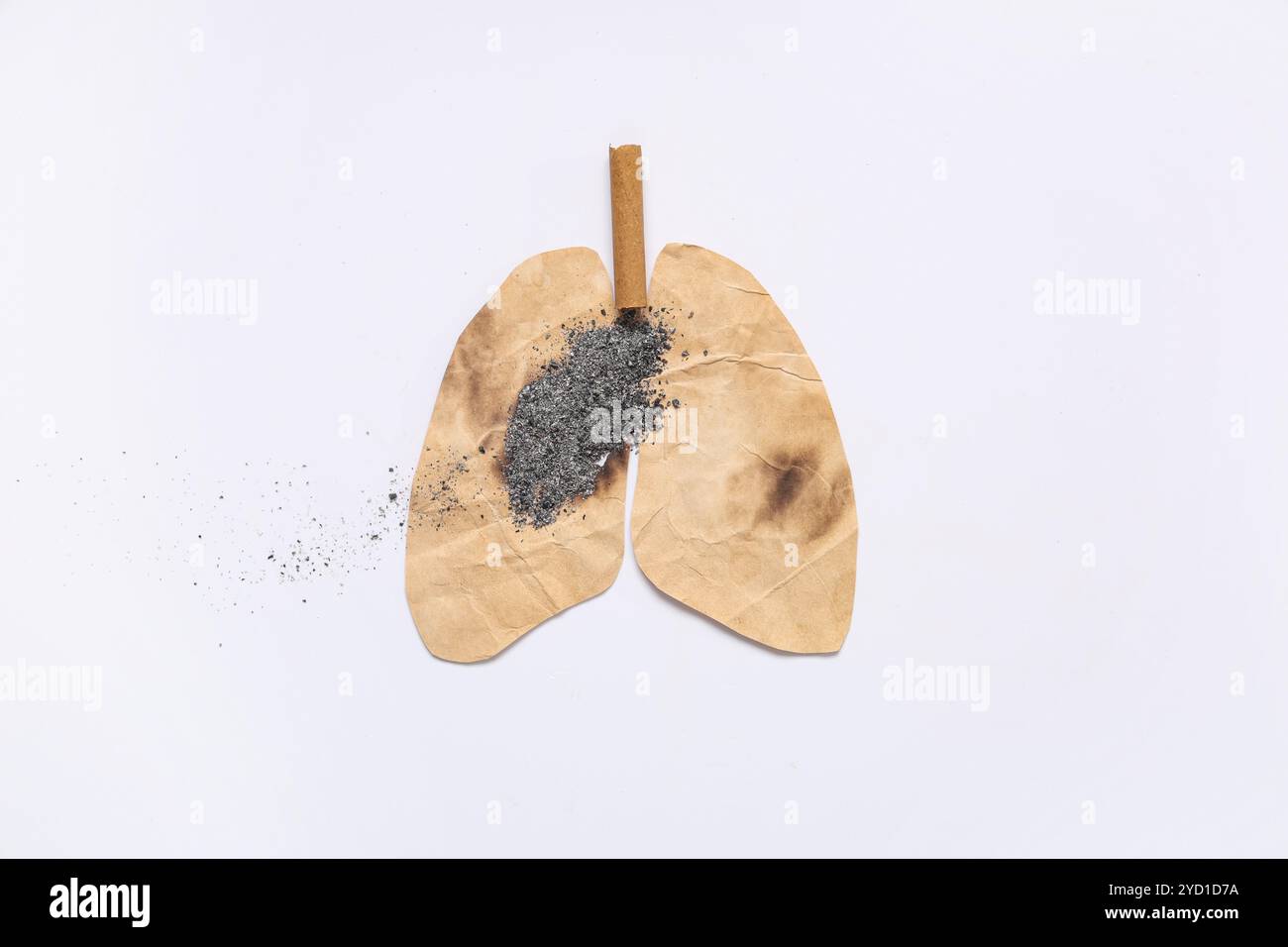 Paper lungs with cigarette and ashes on white background Stock Photo ...