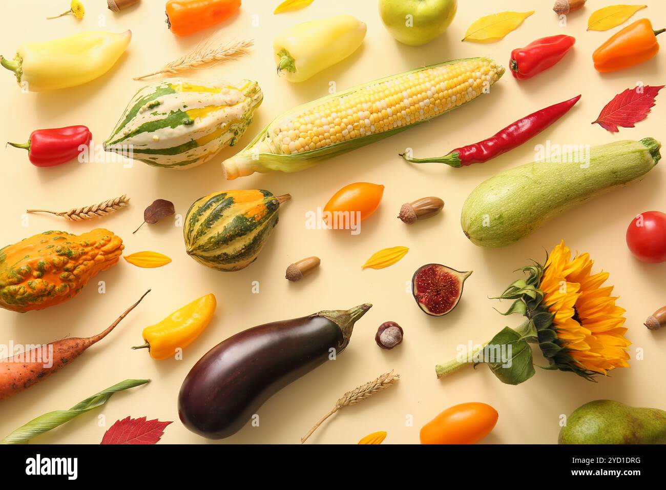Different fresh vegetables with sunflower, autumn leaves and ears of ...