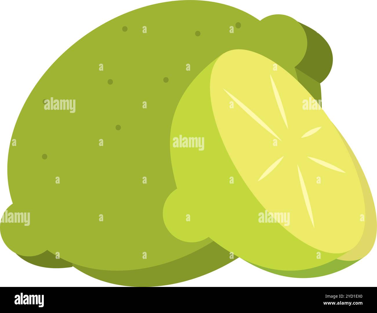Fresh whole lime and lime slice flat icon for food concepts Vector ...