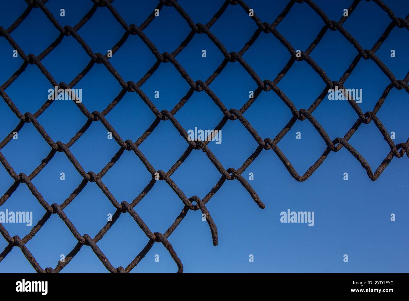 Texture mesh netting. Background fence. Transparent fence. Iron mesh ...