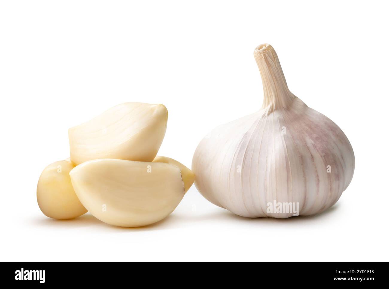 Side view of white garlic bulb with peeled cloves in stack is isolated ...
