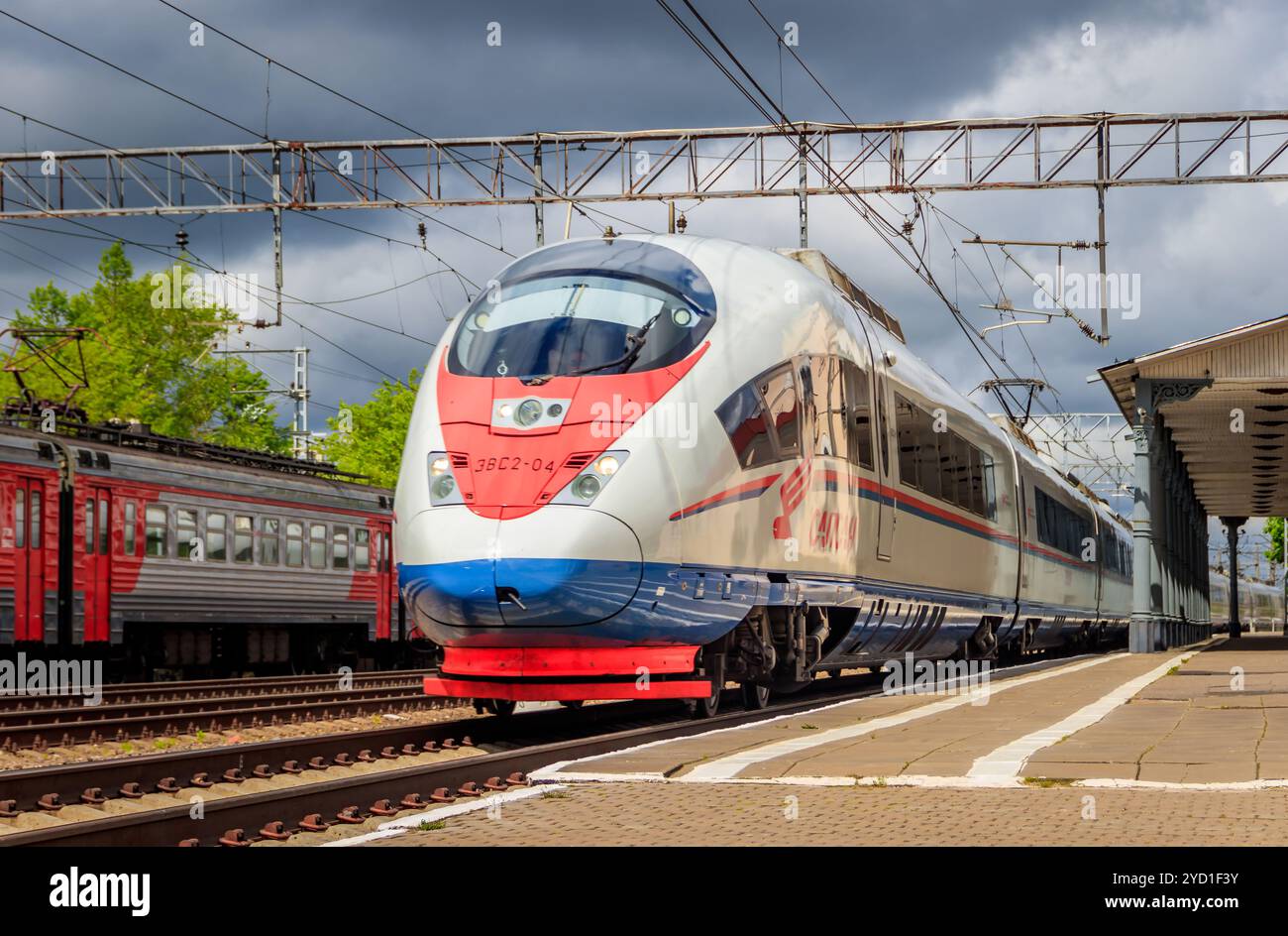 Train peregrine falcon high-speed train peregrine falcon Russian ...