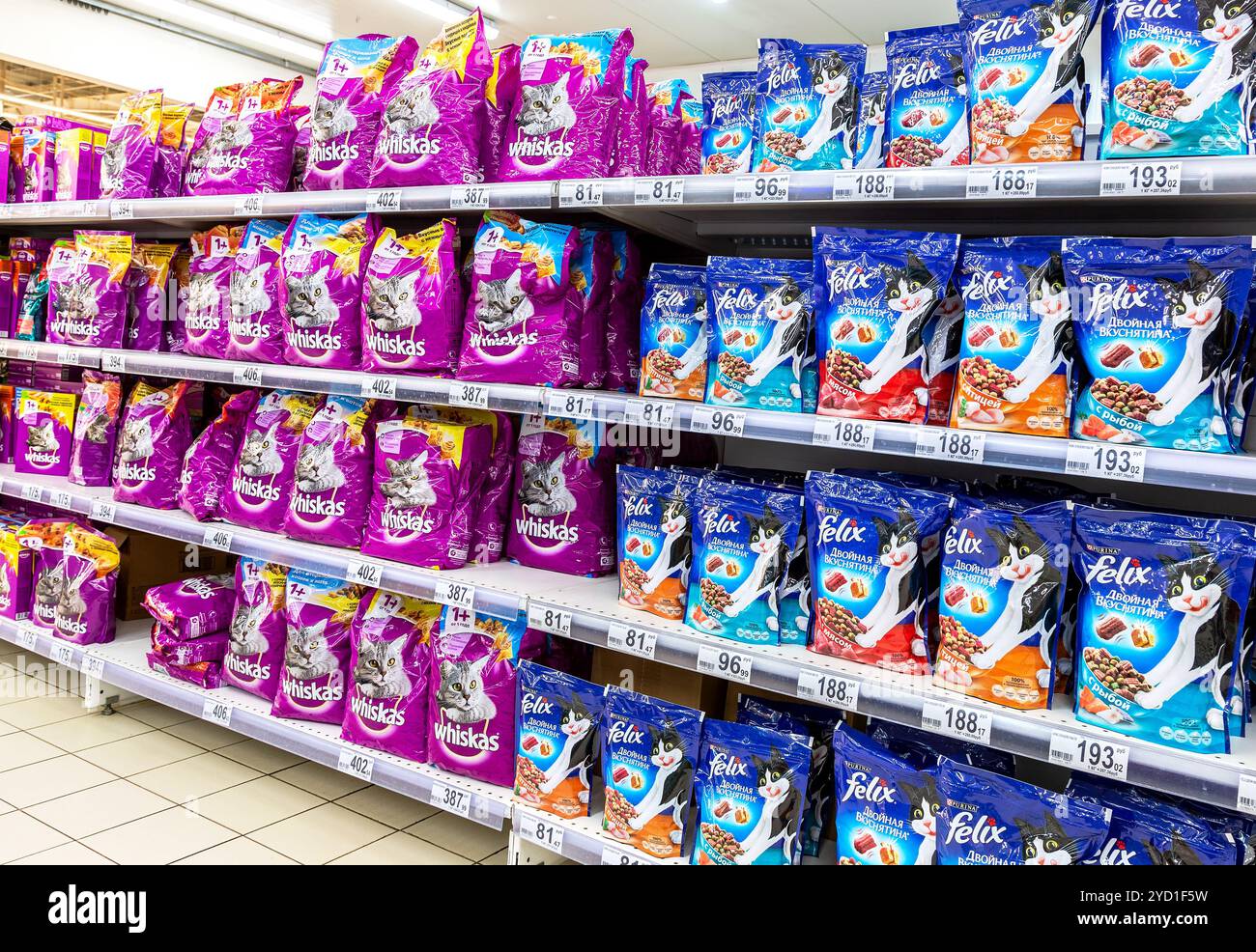 Various cat hi-res stock photography and images - Alamy